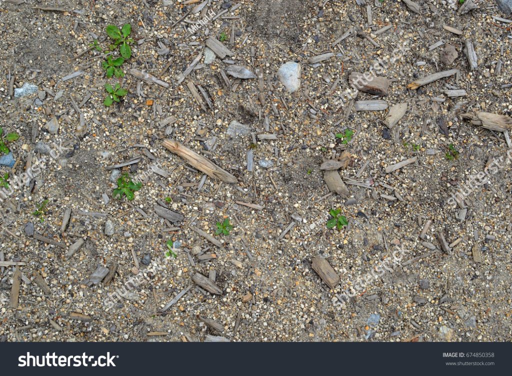Using Natural Materials for Exterior Texture – boostersoncv